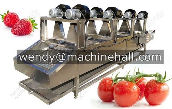 commercial Fruit Vegetable De-water/Drying Machine for Strawberry,Date,Kelp