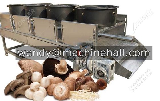 high quality Fruit Vegetable Air Drying Machine|Cooling Machine manufacturer