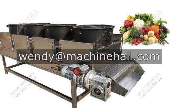 high quality Fruit Vegetable Air Drying Machine|Cooling Machine manufacturer