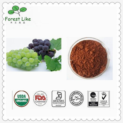 China Grape Seed Extract OPC 95 % 98 % Polyphenol 20%-80% supplier