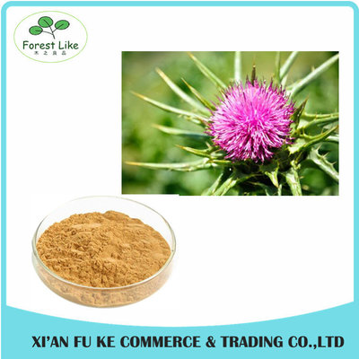 China Natural Milk Thistle Extract Silymarin for Medicine supplier