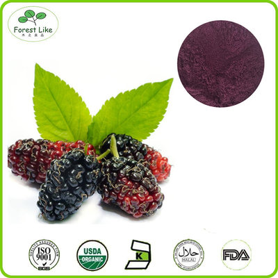 Natural Freeze Dried Organic Mulberry Powder