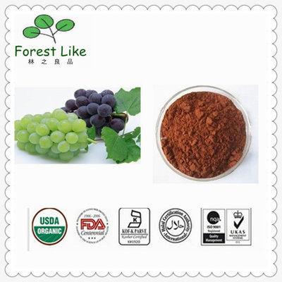 New Type,High Efficient and Delicated Grape Seed Extract supplier