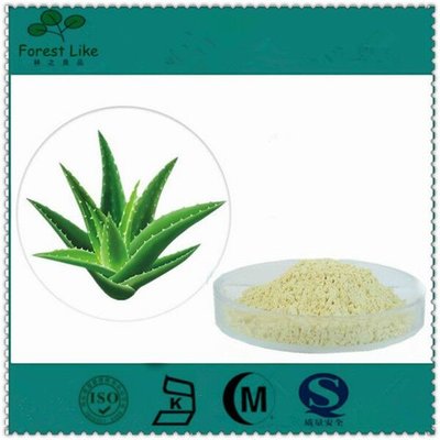 Edible and Medicinal Value of  Colorless and Transparent Aloe Vera Extract supplier