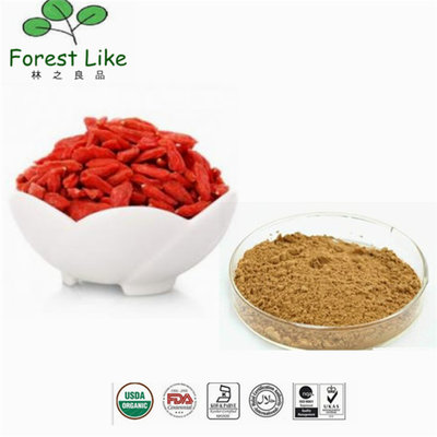 Rich in Nutrients and Health Care Value of Barbury Wolfberry Fruit P.E supplier