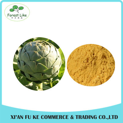 Plant Extract 100% Natural Artichoke Extract / Cynarin 2.5% 5% supplier