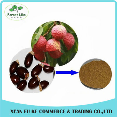 2017 New Production Food Grade Semen Natural Plant Extract Litchi Seed Extract supplier