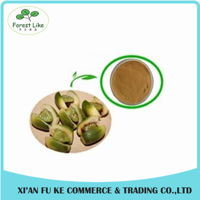 Best Selling Product Free Sample No Additives High Ratio Promote Decrease of Blood  Effect  Areca Nut Extract supplier