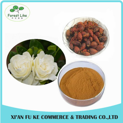 Reliable Manufacturer Supply Hot Products for Gardenia Jasminoides Ellis supplier