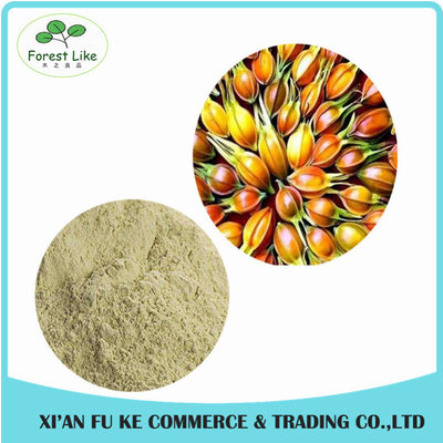 Reliable Manufacturer Supply Hot Products for Gardenia Jasminoides Ellis supplier