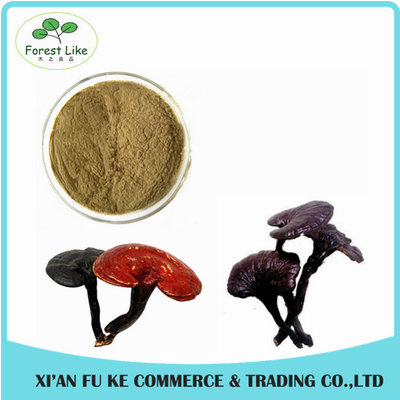 Anti-tumor Chinese Magical Herb Wild Lingzhi Shell-broken Spore Powder supplier
