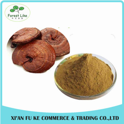 Anti-tumor Chinese Magical Herb Wild Lingzhi Shell-broken Spore Powder supplier