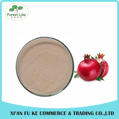 Natural Fruit Extract Pomegranate Juice Powder for Food supplier