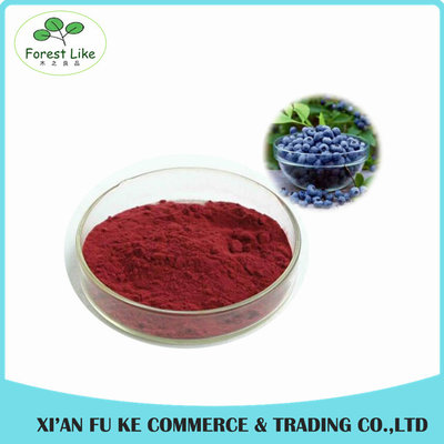 Food Ingredients Fruit Extract 100% Natural Bilberry Extract Powder supplier