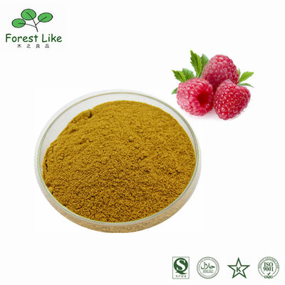 100% Natural Wild Raspberry Extract Natural Berries Juice Powder Free Sample supplier
