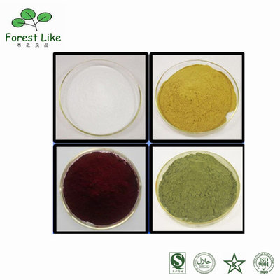 Hot Selling 98% Natural Kaempferol Powder Free Sample supplier