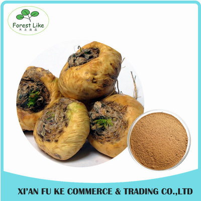 Herbal Sex Powder Men Health-care Anti-fatigue Product Maca Root Extract Powder supplier