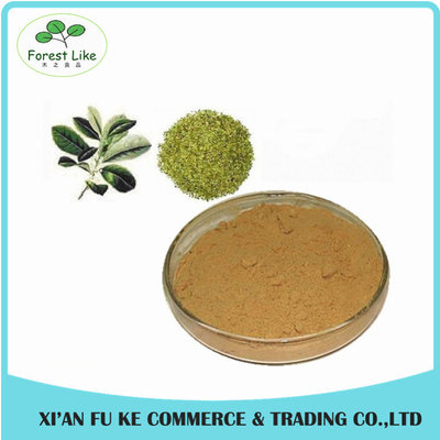 Best Selling Natural Yerba Mate Extract Polyphenol Tannin acid supplier