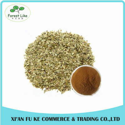 Best Selling Natural Yerba Mate Extract 25 % Polyphenol,20 % Tannin Acid supplier