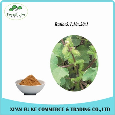 Low Price Siberian Cocklebur Fruit Extract Powder 5:1 10:1 supplier