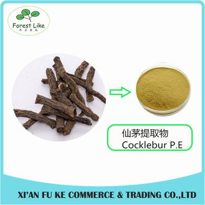 Natural Plant Powder Curcoligo Orchioides Extract 5:1 - 10:1 supplier