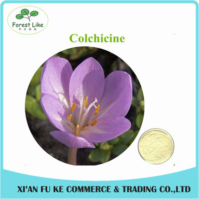 Best Selling Colchicum Extract Colchicine 98% CAS NO:64- 86 - 8 supplier