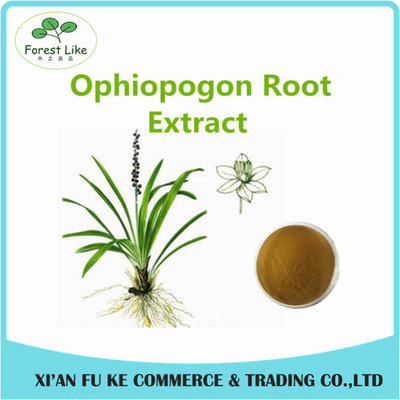 Chinese Herbal Medicine Ophiopogon Japonicus Extract Powder 5:1 - 20:1 supplier