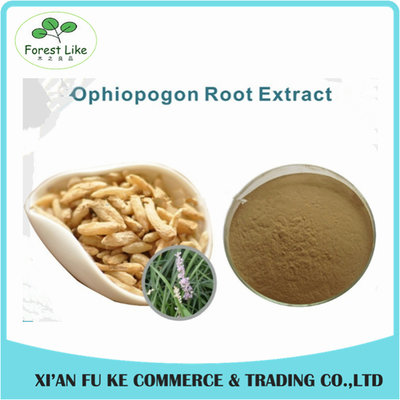 Chinese Herbal Medicine Ophiopogon Japonicus Extract Powder 5:1 - 20:1 supplier
