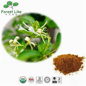 Superior Quality Featured Product 5%-98%Chlorogenic Acid Honeysuckle Flower Extract supplier