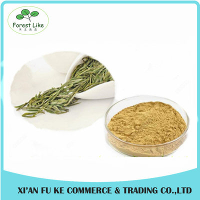Health-care Product Instant Tea Powder Pure Natural White Tea Extract with Polyphenols supplier