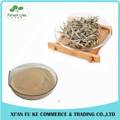 Health-care Product Instant Tea Powder Pure Natural White Tea Extract with Polyphenols supplier