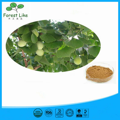 Professional Wholesales Chinese Natural Ginkgo Seed Extract supplier