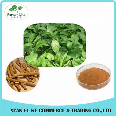 Wildginger Herb Indigowoad Root Extract / Radix Isatidis Extract 10:1 supplier