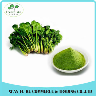 Vagetable P.E. Spinach Powder / BoBcai Powder without Additive supplier