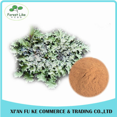 Reliable Supplier Best Discout for Red Clover Extract supplier
