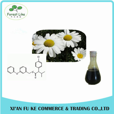 High Quality Pyrethrum Extract 25 %-50 % Pyrethrin Oil supplier