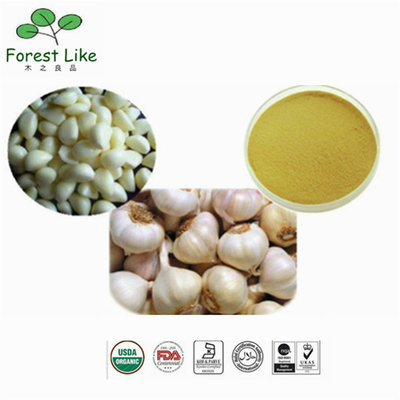 Factory Supply Origanic Fresh Garlic Extract Allicin 1 % Alliin 2 % supplier