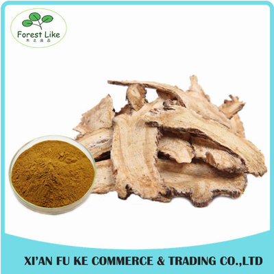 100% Pure Natural Dong Quai Extract/Angelica Root Extract Powder supplier