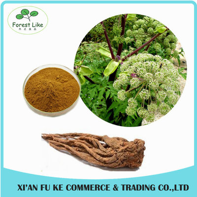 100% Pure Natural Dong Quai Extract/Angelica Root Extract Powder supplier
