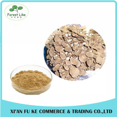 Shii-take Mushroom Extract 10% - 30% Lentinan Polysaccharides supplier