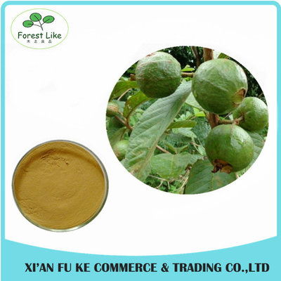 Health Care Product Reduce Fatigue Guava Leaf Extract with Polyphenols supplier