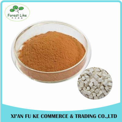 Recover Immunity Statem Chinese Herb Poria Cocos Extract supplier