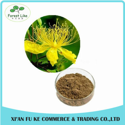Saint John's Wort / Hypericum Perforatum Extract Hypericin supplier