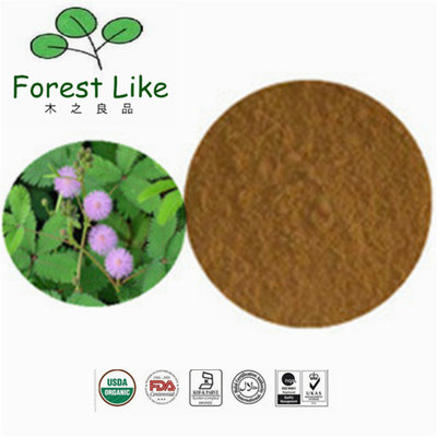Finely Shredded Mimosa Extract Mimoside Sensitiveplant Herb Extract supplier
