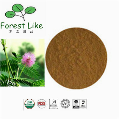 Finely Shredded Mimosa Extract Mimoside Sensitiveplant Herb Extract supplier