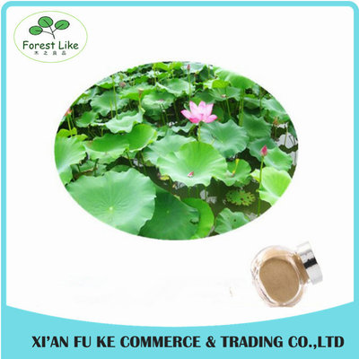 Chinese Herb Medicine Loss Weight Product Lotus Leaf Extract Powder supplier