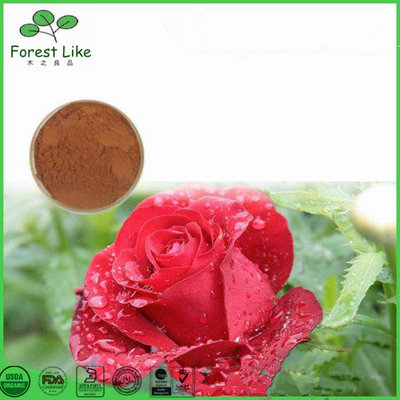 Skin Care Organic Plant Extract Rose Flower Extract supplier