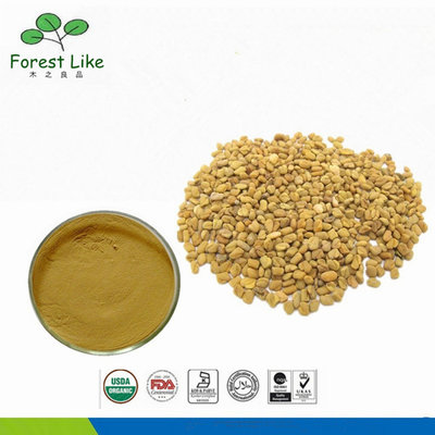 Fenugreek Seed / Trigonella Foenum-Graecum Extract Powder 50% Saponins supplier