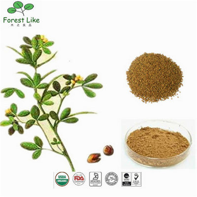Fenugreek Seed / Trigonella Foenum-Graecum Extract Powder 50% Saponins supplier