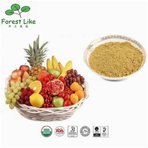 Dried Healthy Mixed Fruit Juice Powder supplier